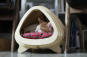 Fish-shaped Cat House — Shoebox Dwelling | Finding comfort, style and ...