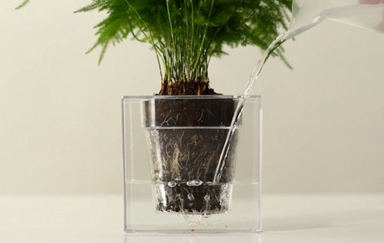 Cube Planter — Shoebox Dwelling | Finding comfort, style and dignity in ...