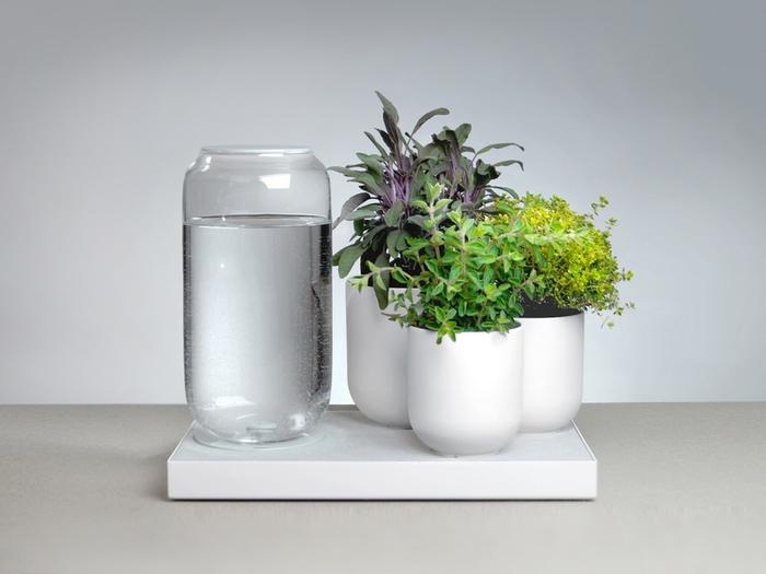 Tableau — Shoebox Dwelling | Finding comfort, style and dignity in ...